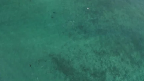 Static Aerial Bird's Eye View Above Bott... | Stock Video | Pond5