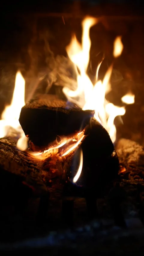 Camera Clip At Stock Videos – Royalty-Free HD & 4K Videos