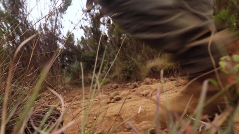 Static, close up, shot in front of hay, ... | Stock Video | Pond5