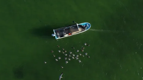 Static closeup aerial view looking down ... | Stock Video | Pond5