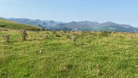 Static nature landscape of grass fields ... | Stock Video | Pond5