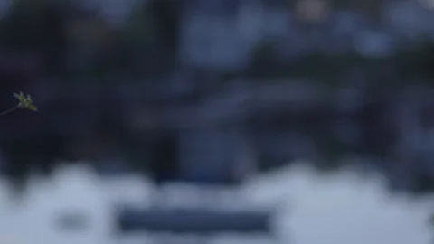 Static, pull focus shot, revealing a sai... | Stock Video | Pond5