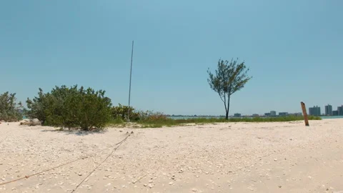 static shot of beach with Tampa in the b... | Stock Video | Pond5