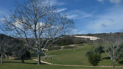 Static shot of field, wood with no leave... | Stock Video | Pond5