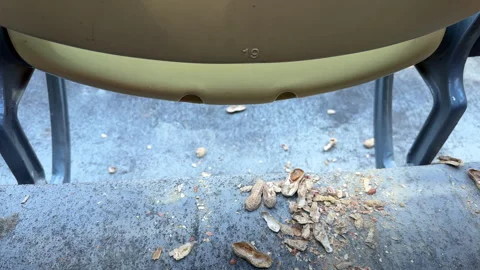 Static shot of shelled ballpark peanuts ... | Stock Video | Pond5