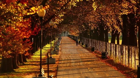 Reflecting Pool Walkway Stock Videos – Royalty-Free HD & 4K Videos | Pond5