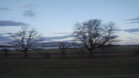 Static shot from vehicle with trees pass... | Stock Video | Pond5