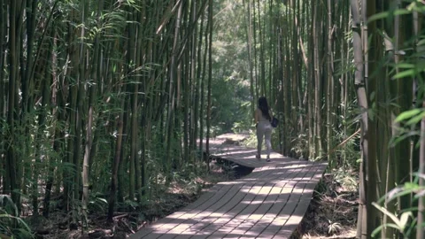 Static shot of a woman walking through a... | Stock Video | Pond5