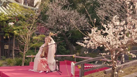 Lady Heike Stock Video Footage | Royalty Free Lady Heike Videos | Pond5