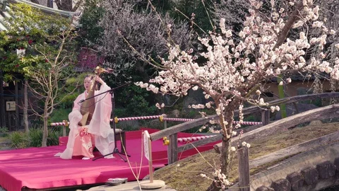 Lady Heike Stock Video Footage | Royalty Free Lady Heike Videos | Pond5