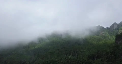 Static video of the the fog that moves t... | Stock Video | Pond5