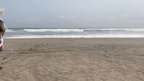 Acapulco Mexico Stock Footage ~ Royalty Free Stock Videos | Pond5