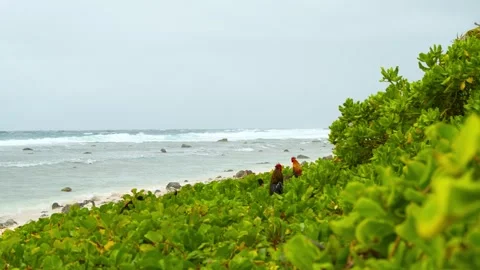 Static view of a beach with windy waves ... | Stock Video | Pond5