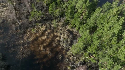 Static view of the karst funnel in Jõem... | Stock Video | Pond5