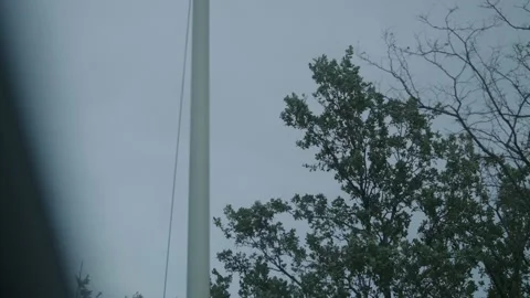 Static view of tree moved by wind with ... | Stock Video | Pond5