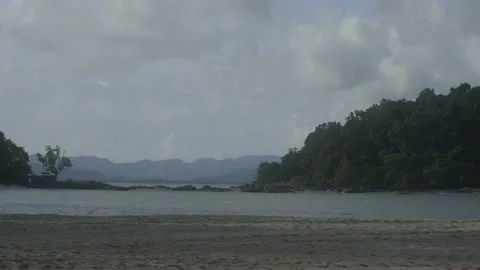 Static wide shot of beachfront with tree... | Stock Video | Pond5