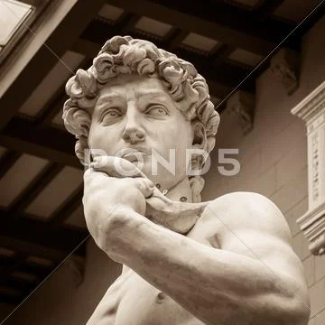 Photograph: The statue of David by italian artist Michelangelo #64782527