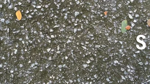 Stay Close Tv Stock Videos – Royalty-Free HD & 4K Videos