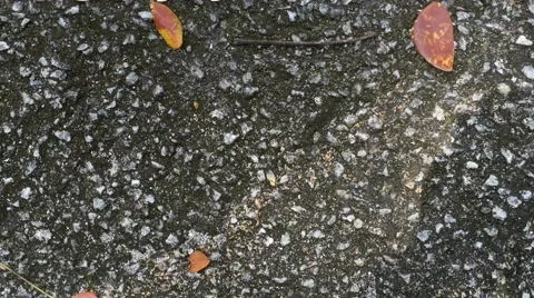 Stay Close Tv Stock Videos – Royalty-Free HD & 4K Videos