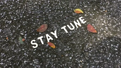 Stay Close Tv Stock Videos – Royalty-Free HD & 4K Videos