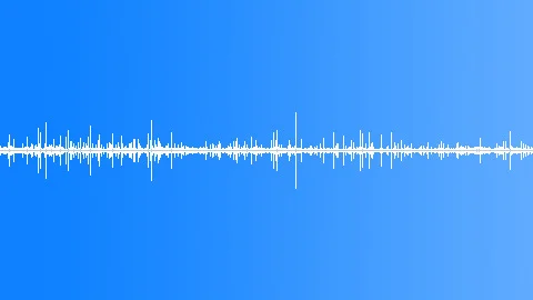 Steak Meat Fizzing On The Grill Cooking Oil Butter 10 Seconds 96Khz ...