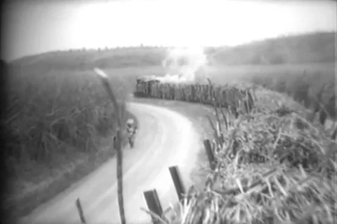 Steam engine train carrying crops and go... | Stock Video | Pond5