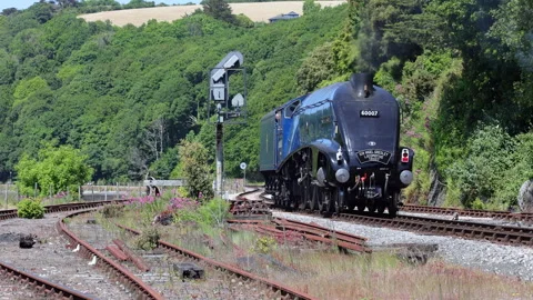 Vsir Grunning Stock Videos – Royalty-Free HD & 4K Videos