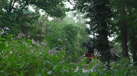 Locomotive Passnger Cars Stock Videos – Royalty-Free HD & 4K Videos