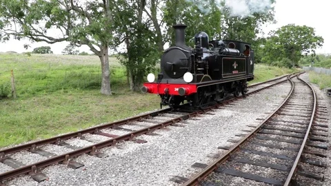 Shot Wight Stock Videos – Royalty-Free HD & 4K Videos | Pond5