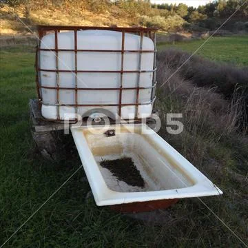 Steel caged water box with water trough bath for feeding animals ...