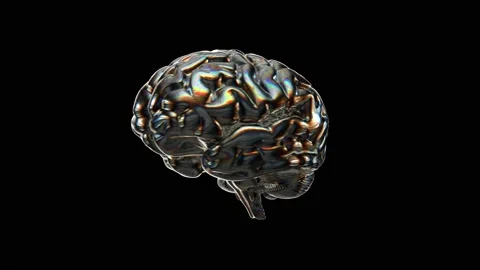 Steel Human brain with Rainbow Reflectio... | Stock Video | Pond5