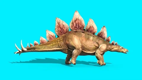 Stegosaurus Walkcycle Dinosaurs Blue Scr... | Stock Video | Pond5