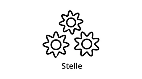 Gallo Animation Stock Videos – Royalty-Free HD & 4K Videos | Pond5