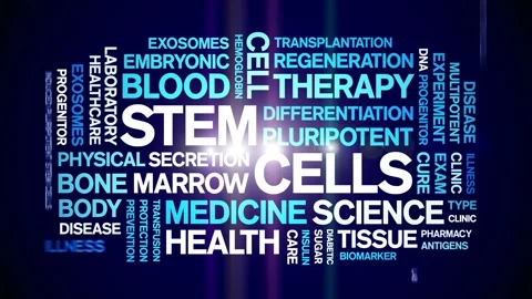 Stem Cells animated word cloud,animation... | Stock Video | Pond5