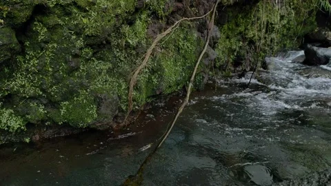 Hanging Stone Stock Videos – Royalty-Free HD & 4K Videos | Pond5