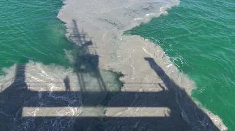 Stem, mud, Caspian Sea, silhouette, trav... | Stock Video | Pond5