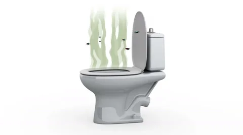 Peeing Animation Stock Videos – Royalty-Free HD & 4K Videos | Pond5