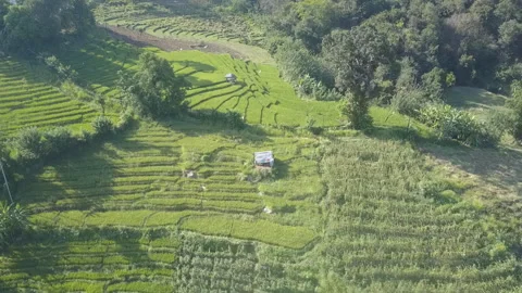 Stepped rice terraces in field surrounde... | Stock Video | Pond5