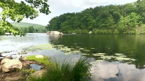 Still 4K shot of clean lake | Stock Video | Pond5