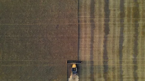 Vertical Stills Stock Video Footage | Royalty Free Vertical Stills ...