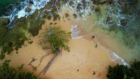 Person Standing Still Stock Videos – Royalty-Free HD & 4K Videos | Pond5