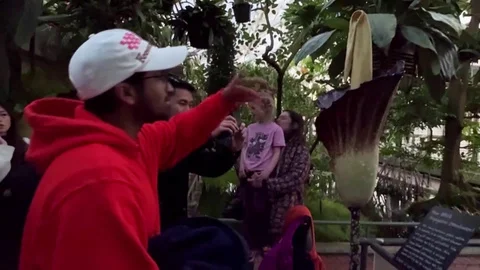 'Stinky cheese, poop, sweaty socks smell... | Stock Video | Pond5