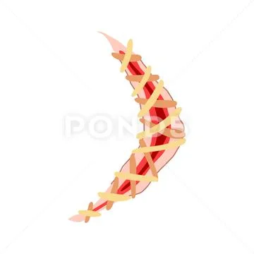 Stitch suture cartoon vector illustration Illustration #279003016