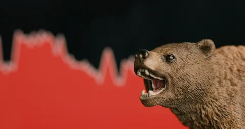 Drop Bear Falling Stock Video Footage | Royalty Free Drop Bear Falling ...