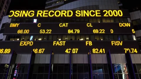 Bull Stock News Stock Videos – Royalty-Free HD & 4K Videos