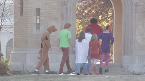 Complete Cast Of Stock Videos – Royalty-Free HD & 4K Videos | Pond5