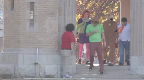 Complete Cast Of Stock Videos – Royalty-Free HD & 4K Videos | Pond5