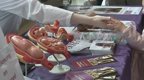 Girls All State Stock Videos – Royalty-Free HD & 4K Videos