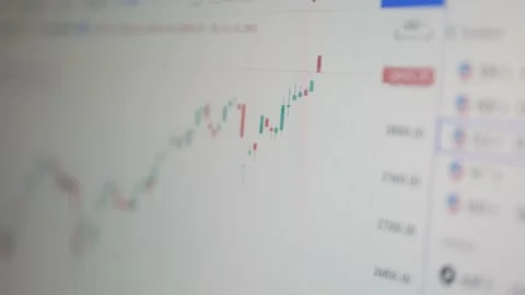 Bid Stock Stock Videos – Royalty-Free HD & 4K Videos | Pond5