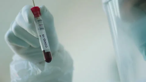 Stock Sample Stock Videos – Royalty-Free HD & 4K Videos | Pond5